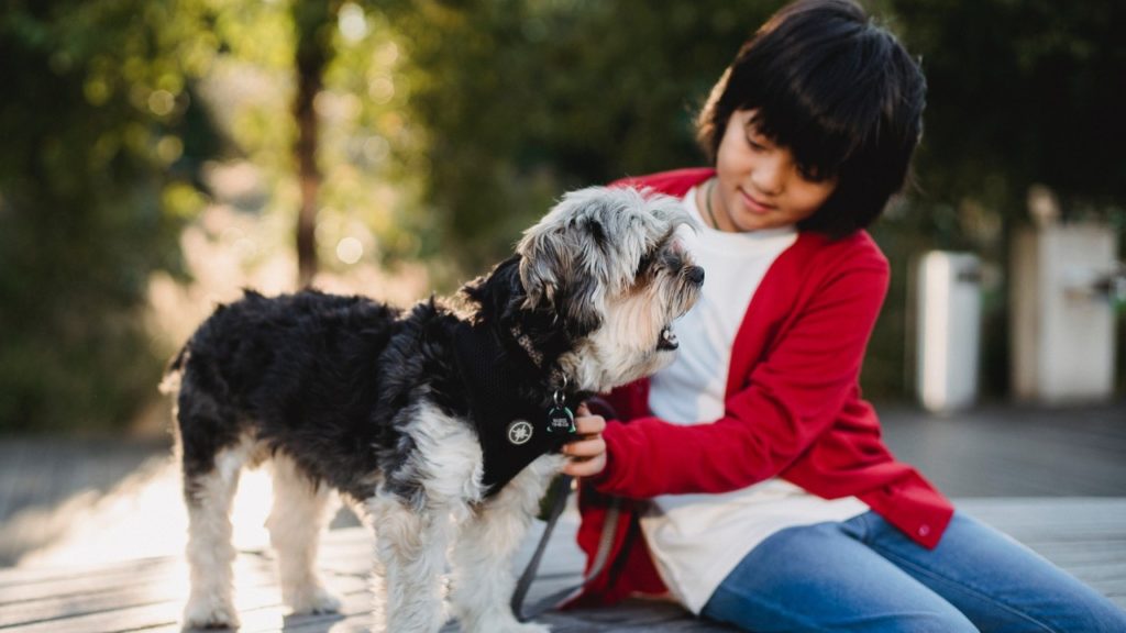 » Leales y adorables: Estas son las mejores razas de perros para niños