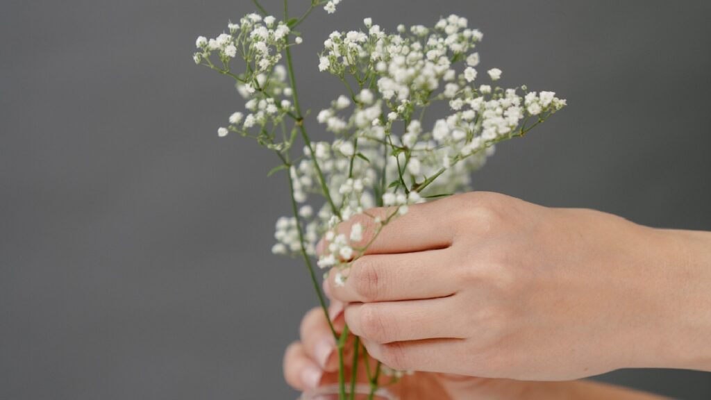 Flor de nube: su poderoso significado en la ofrenda de Día de muertos ...