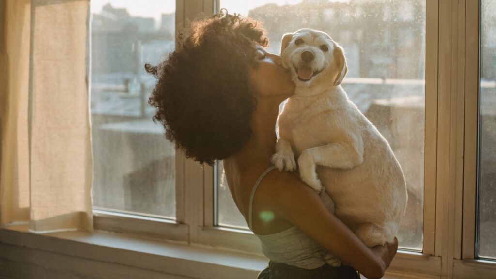 ¡Pon guapo a tu lomito! Cómo hacer perfume casero y natural para perros ...